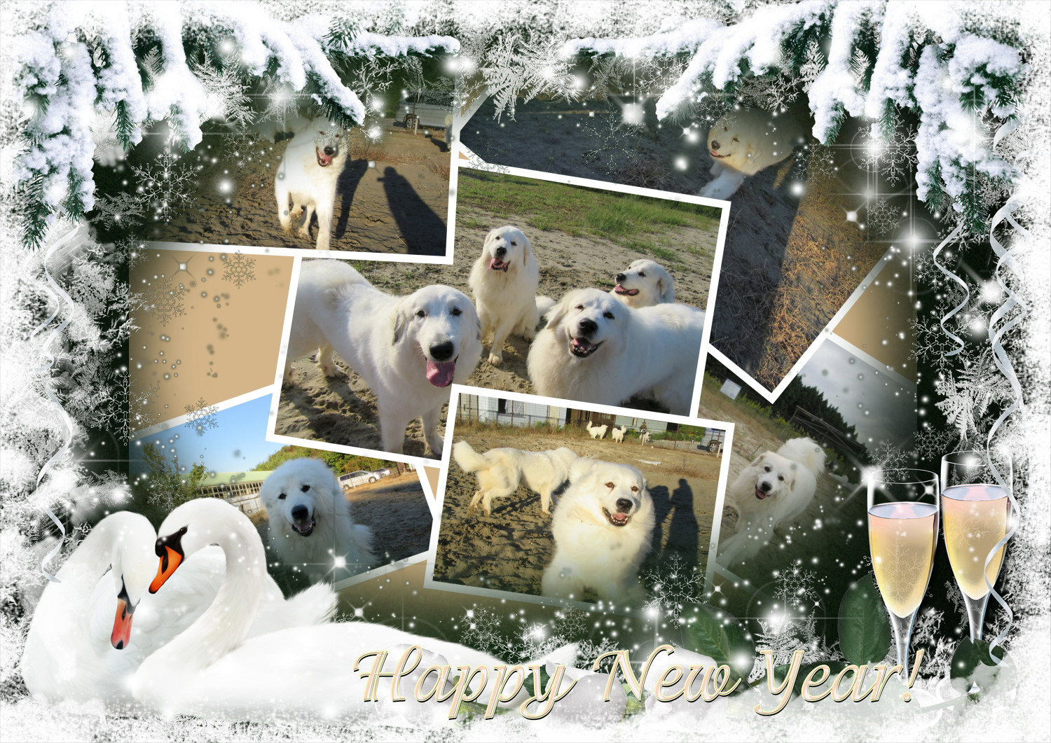 Photo frames. For the lovely hearts in the New Year | 39794574