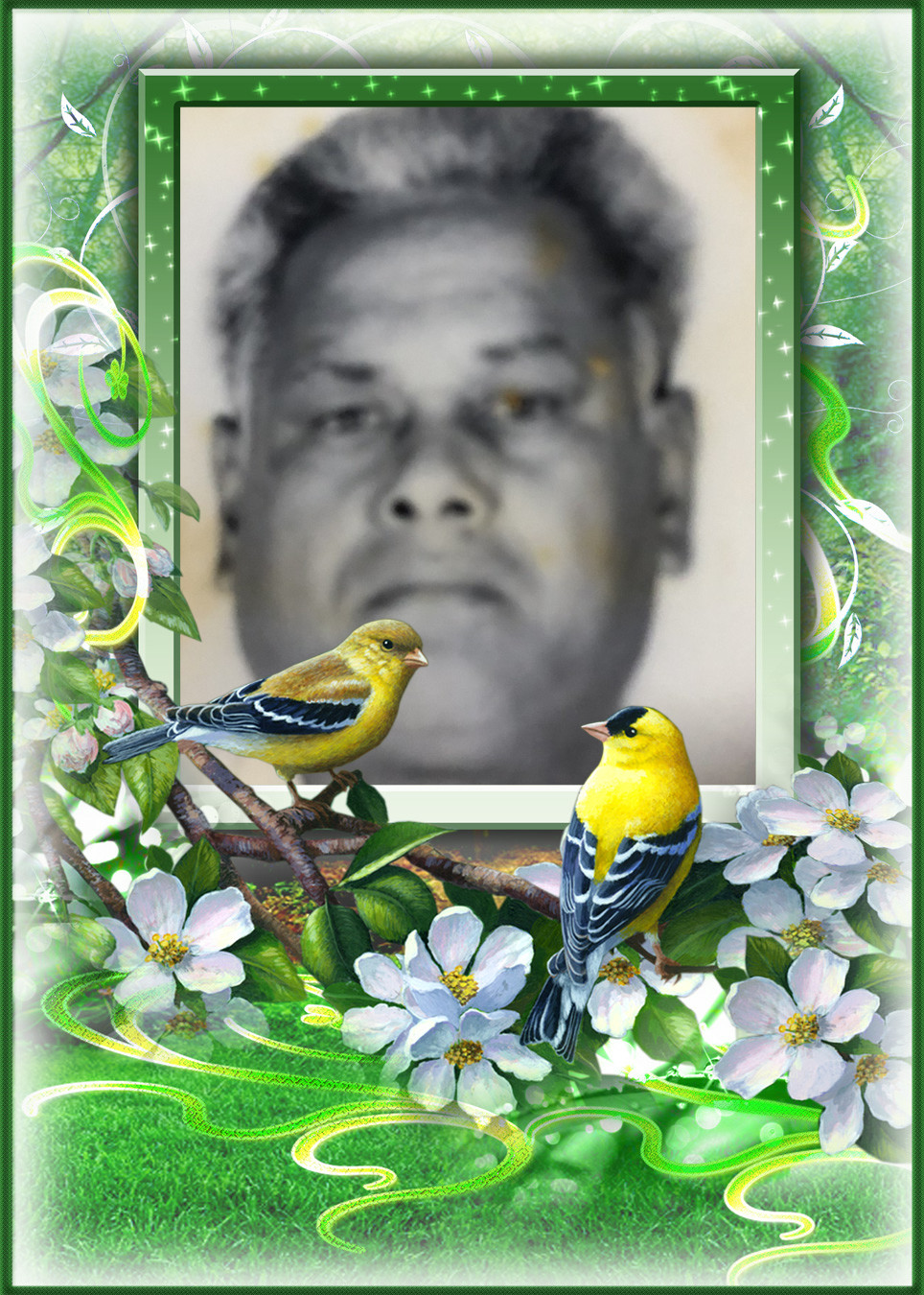 Photo frames. Early spring mood | 55452000