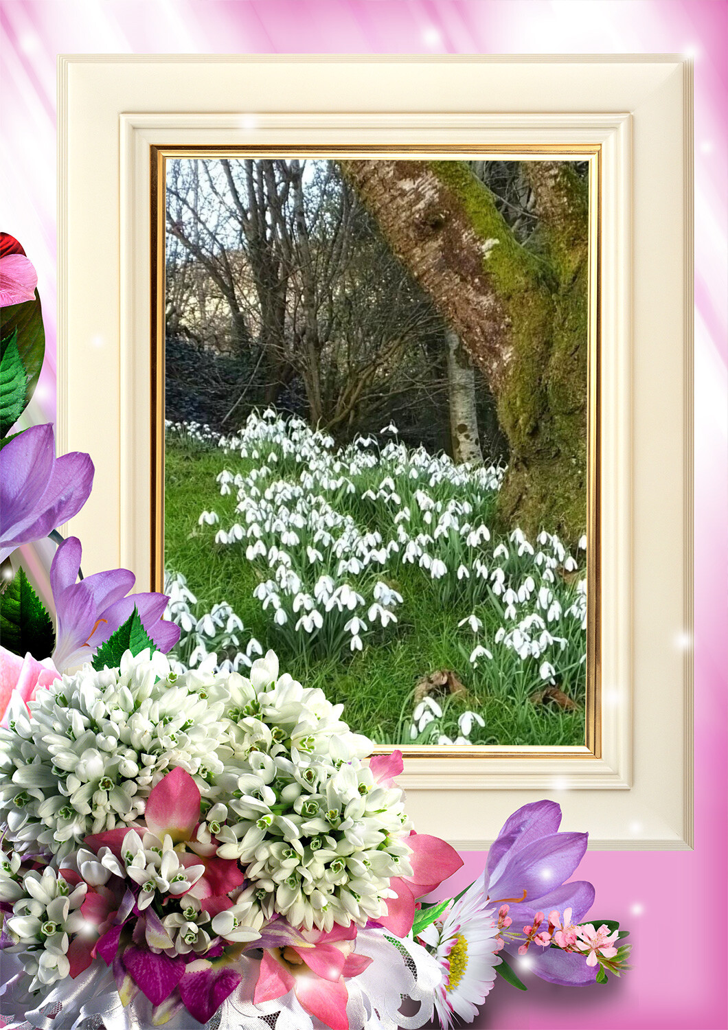 Photo frames. First Spring flowers | 58447085